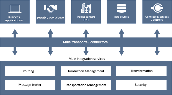 MuleSoft ESB Tutorial (A step by step Guide)